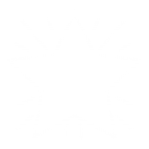 Acromax Dominicana – Productos farmacéuticos seguros, eficaces y novedosos.